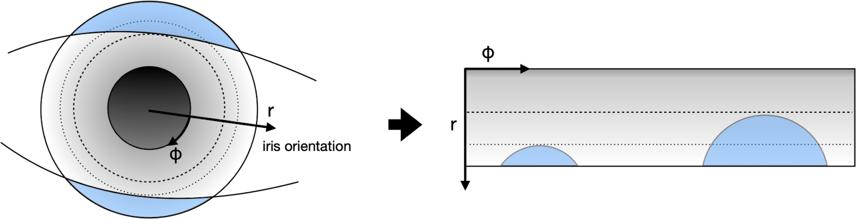 Iris recognition inference system